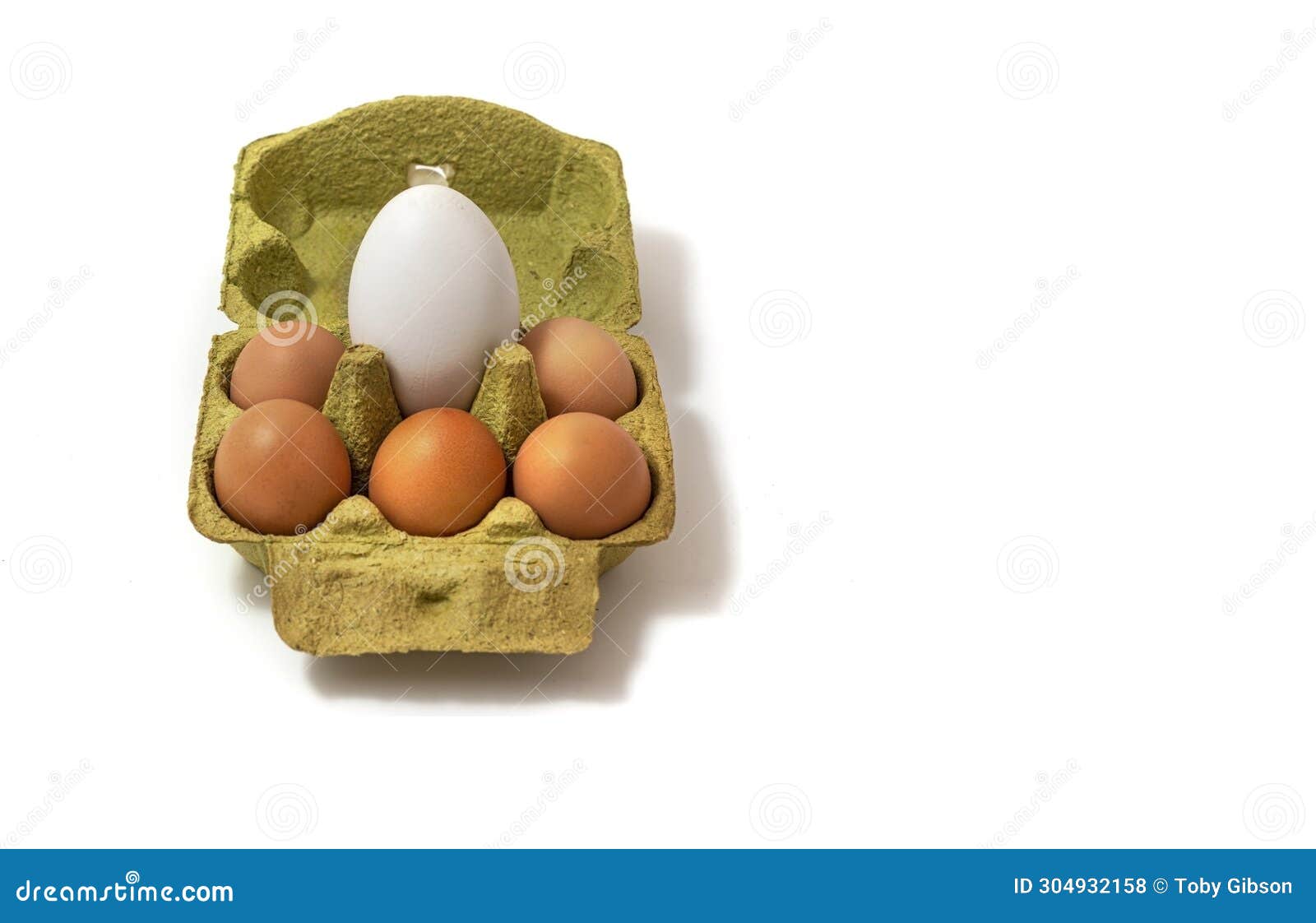 Odd One Out Duck Egg Hens Eggs Stock Photo - Image of fresh, protein ...