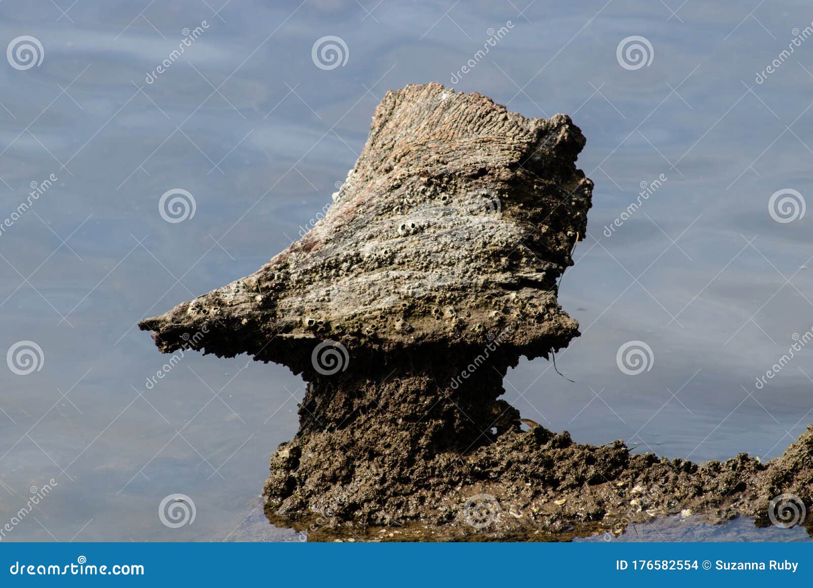 Odd shaped rock stock photo. Image of brown, texture - 176582554
