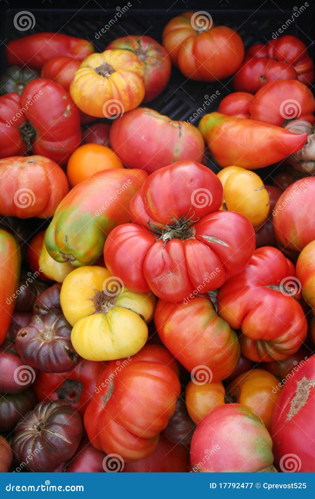 Odd shaped tomatoes stock image. Image of food, kitchen - 17792477