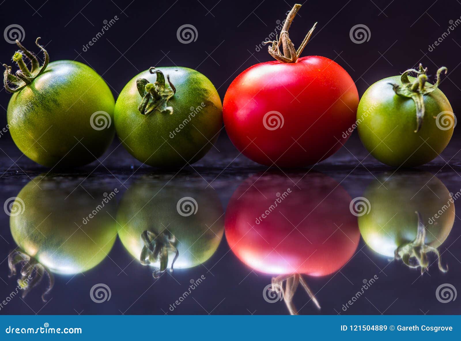 Odd Tomato Out stock image. Image of fresh, green, tomato - 121504889