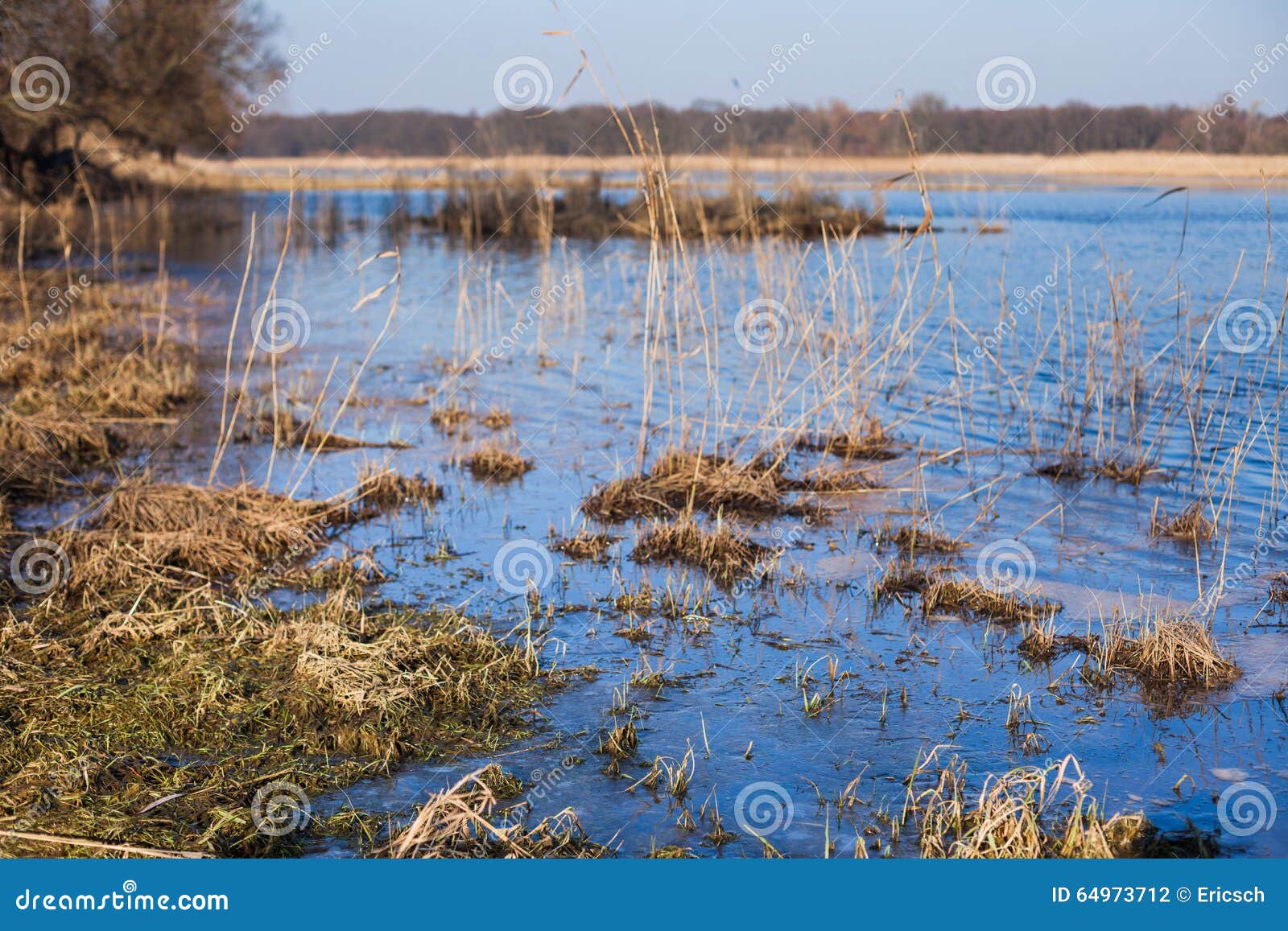 Oder River stock photo. Image of travel, slubice, shoreline - 64973712