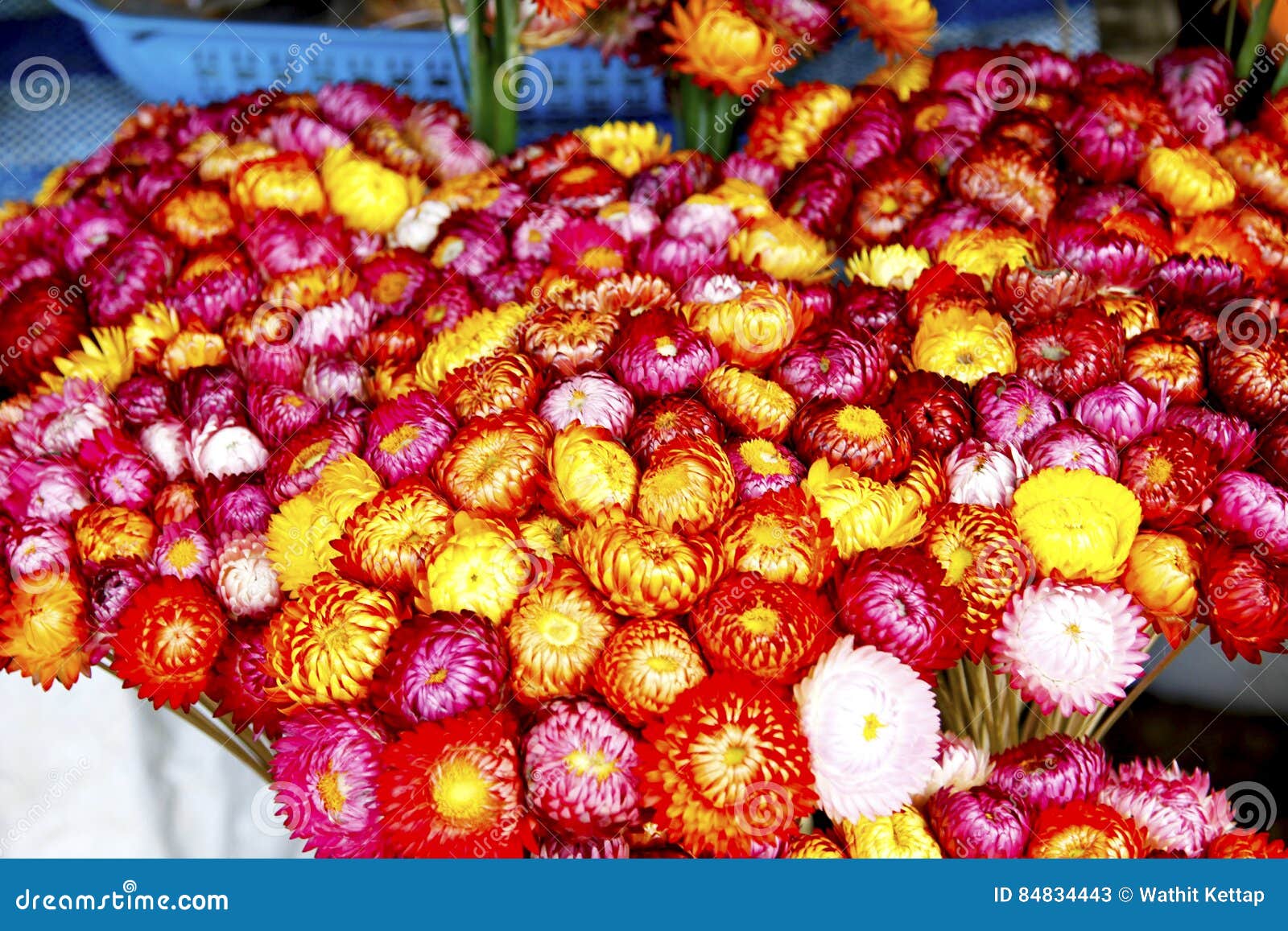 1,375 Odoriferous Photos - Free & Royalty-Free Stock Photos from Dreamstime