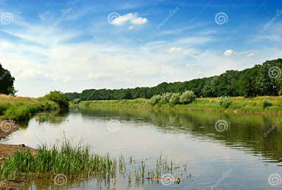 Odra river in Poland stock image. Image of green, river - 5653399