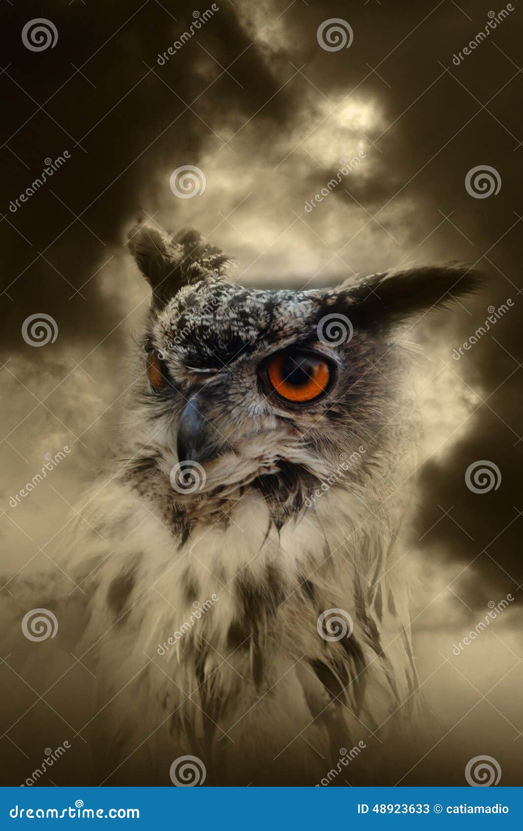 Oeil d'orange de hibou image stock. Image du effrayant - 48923633