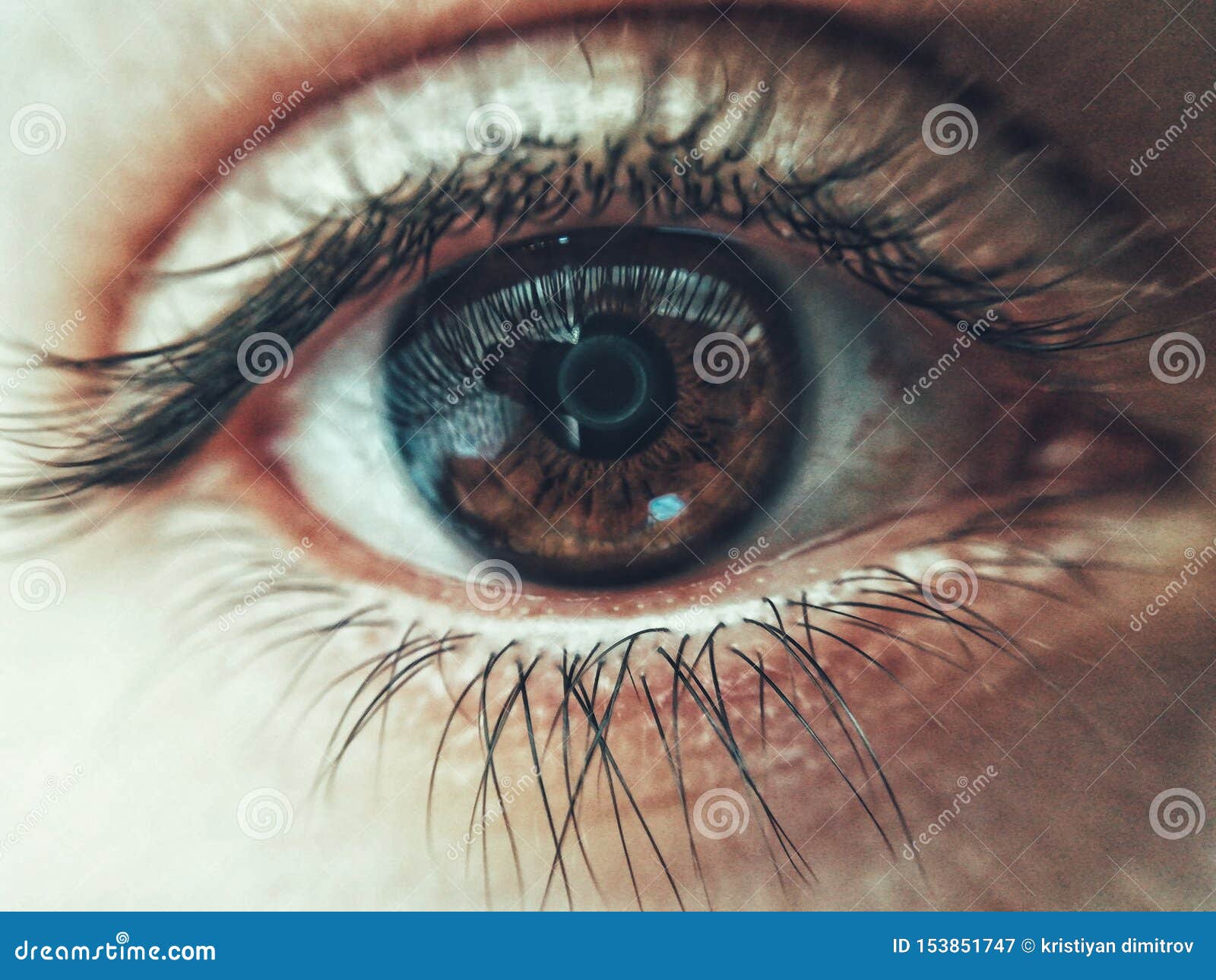 Oeil image stock. Image du rétine, oeil, fermer, éclat - 153851747