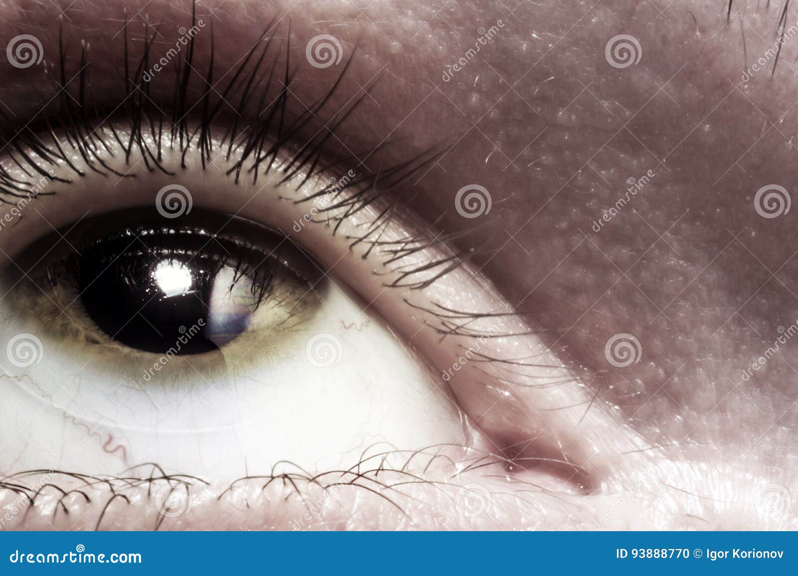 Oeil Grand Ouvert Regardant Vers Le Haut Photo stock - Image du eyeball ...
