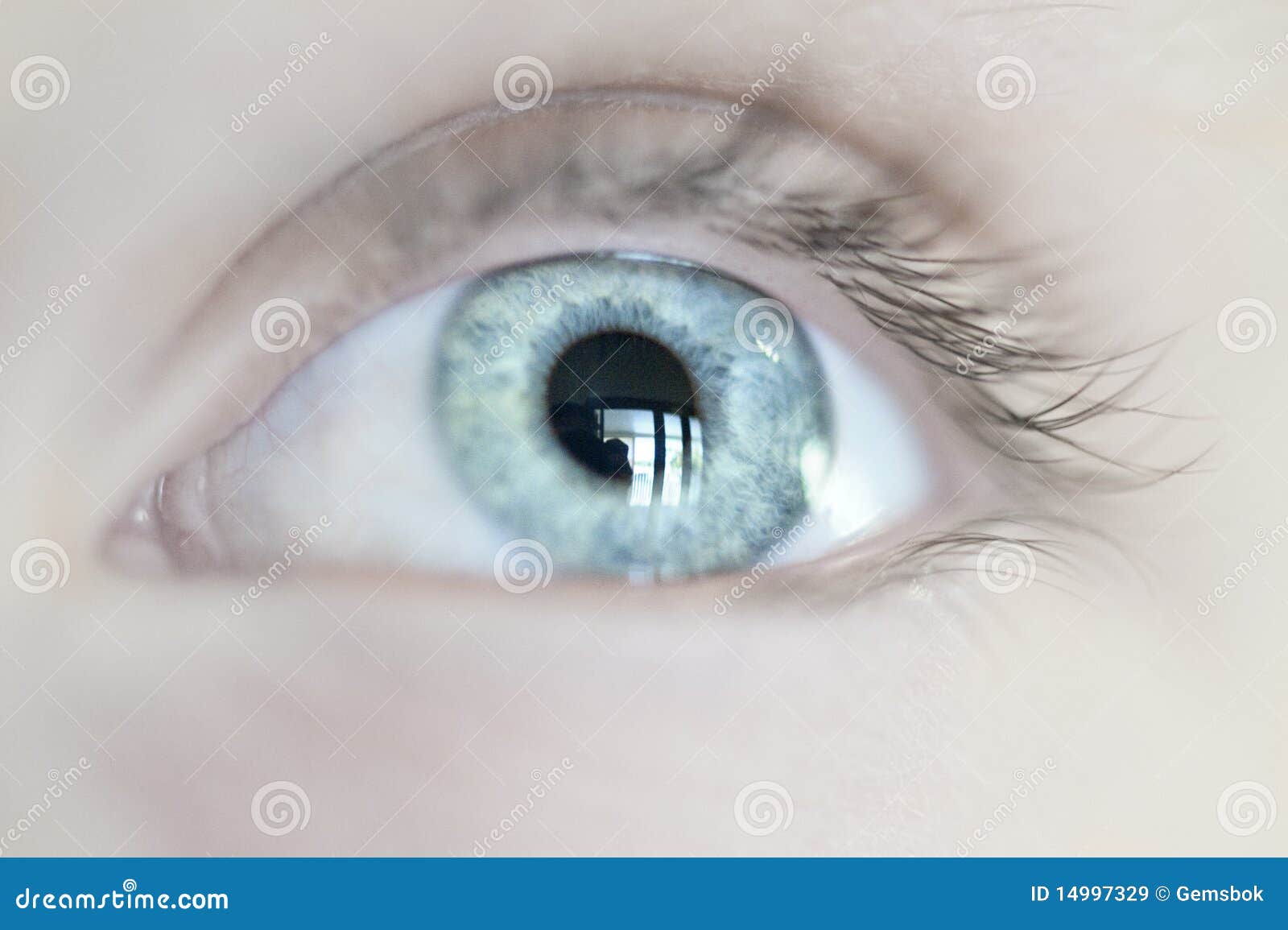 Oeil humain image stock. Image du reflétez, verdâtre - 14997329