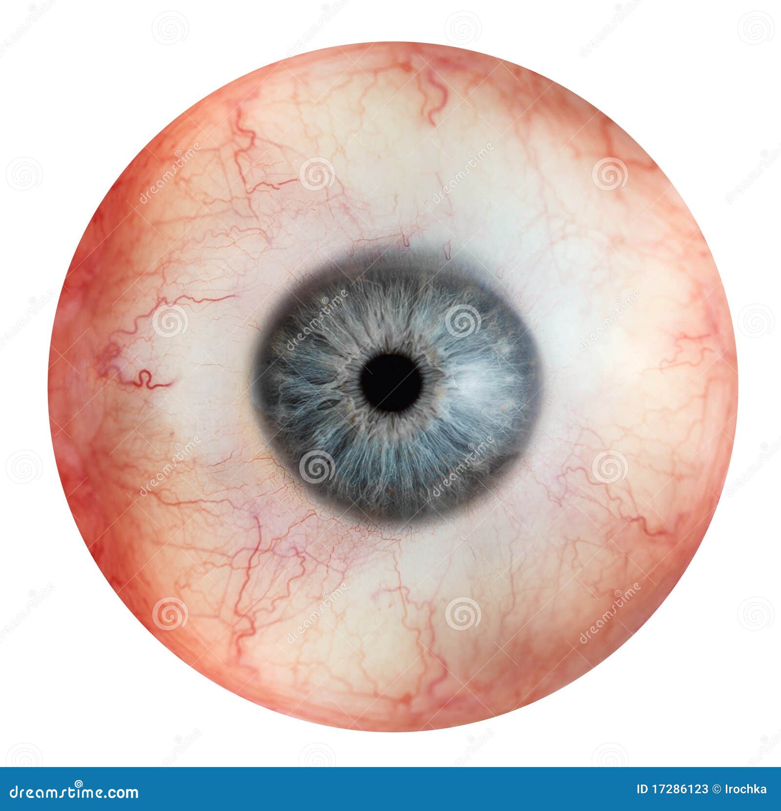 Oeil humain image stock. Image du découpage, rose, trou - 17286123