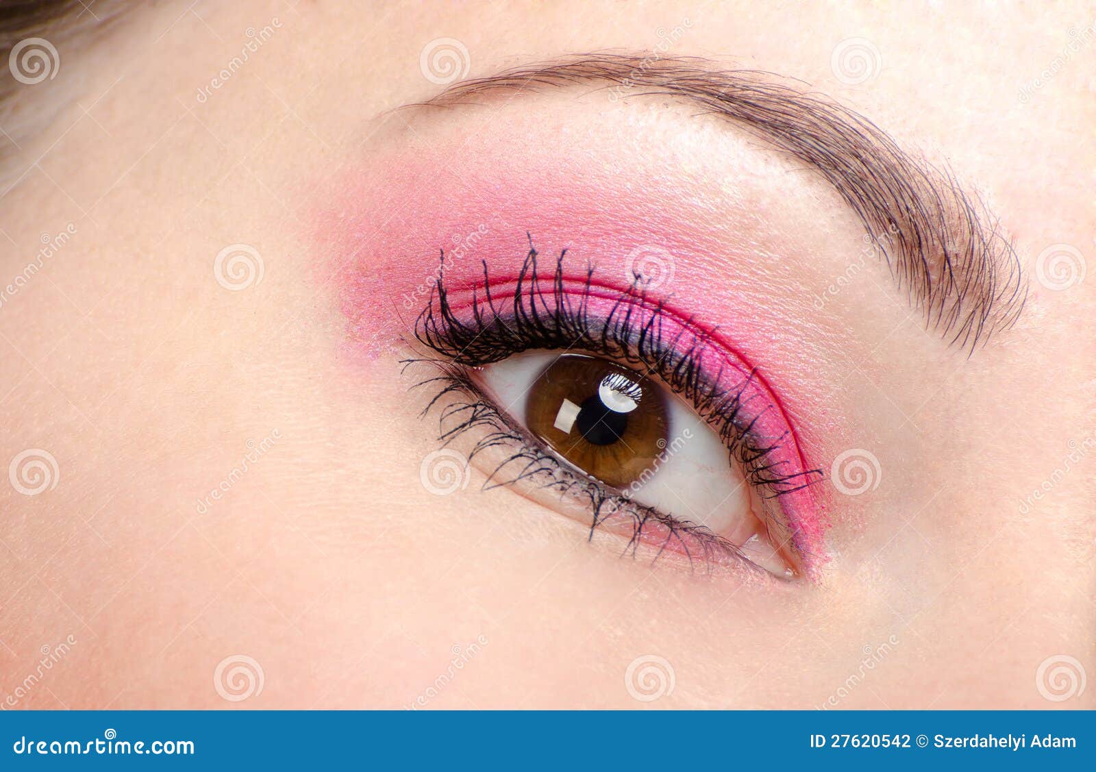 Oeil noisette photo stock. Image du studio, personne - 27620542