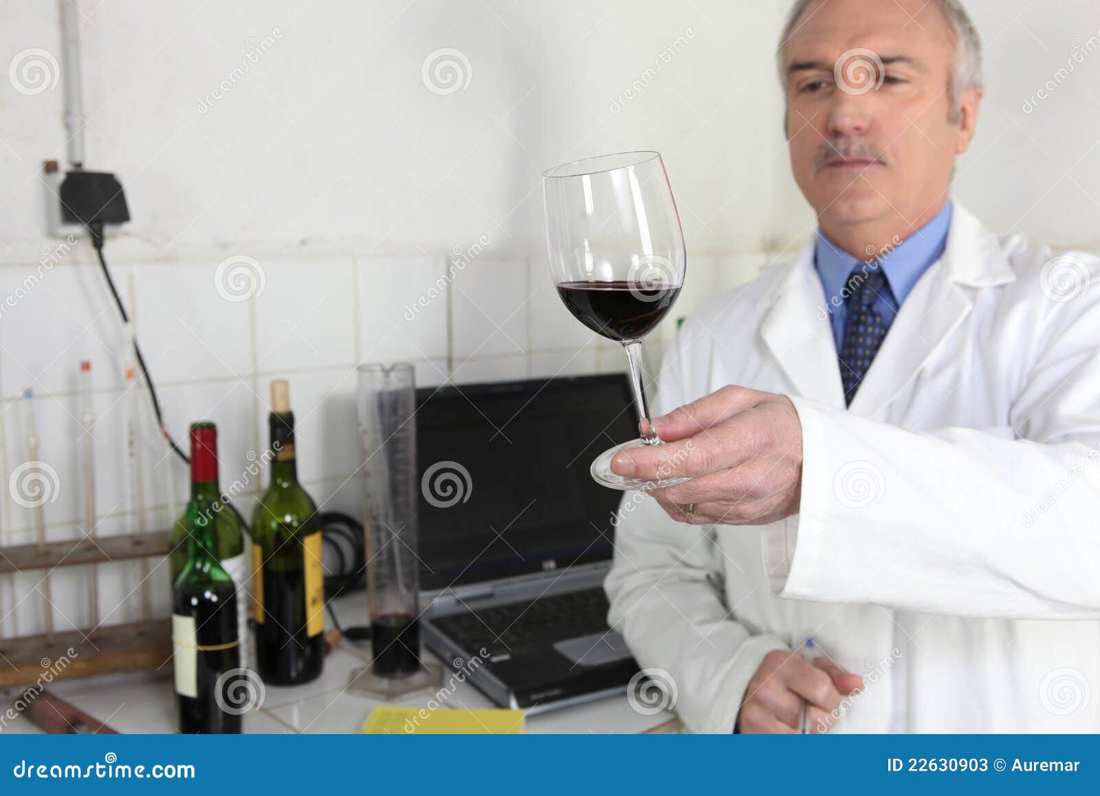 Oenologist Examining Glass of Wine Stock Image - Image of male, testing ...