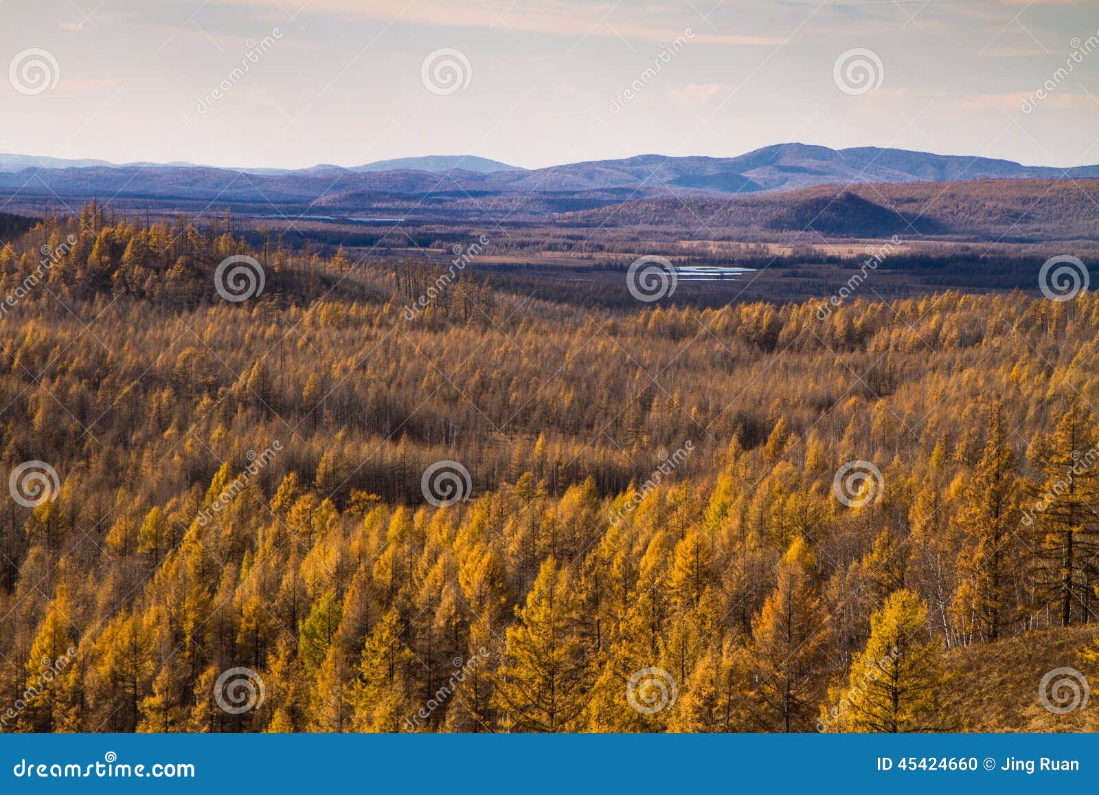 Oerwoud stock foto. Image of klein, berk, dorp, rivier - 45424660