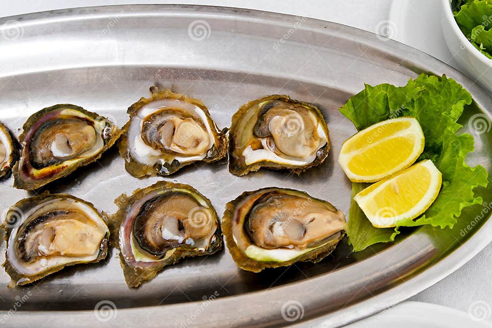 Oesters stock foto. Image of oester, vers, oesters, zeevruchten - 18029536
