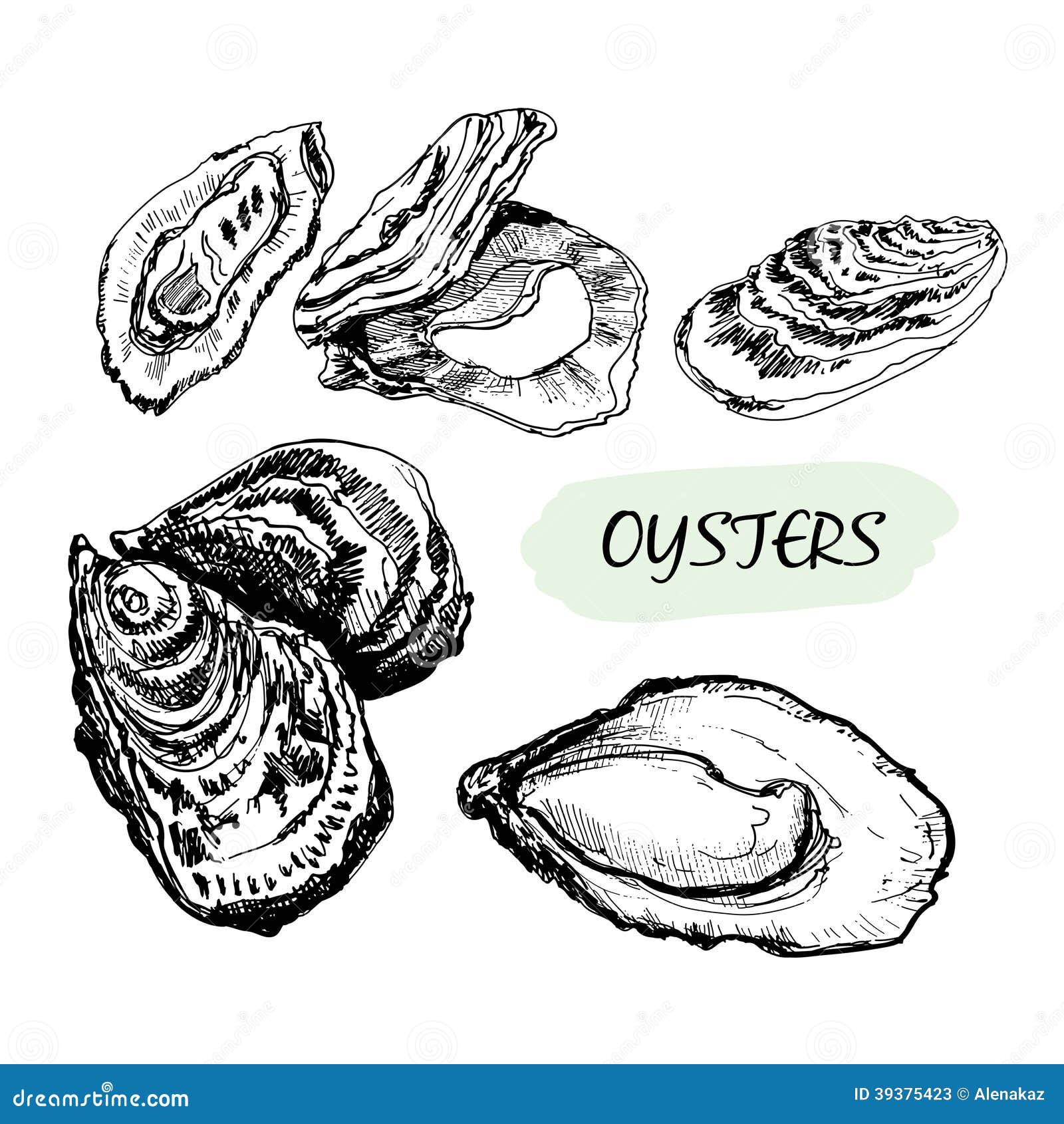 Oesters vector illustratie. Illustration of inzameling - 39375423