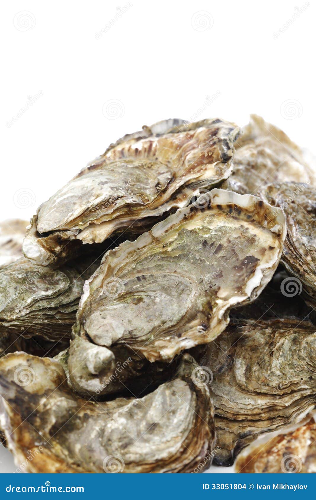 Oesters op wit stock foto. Image of overzees, gastronomisch - 33051804