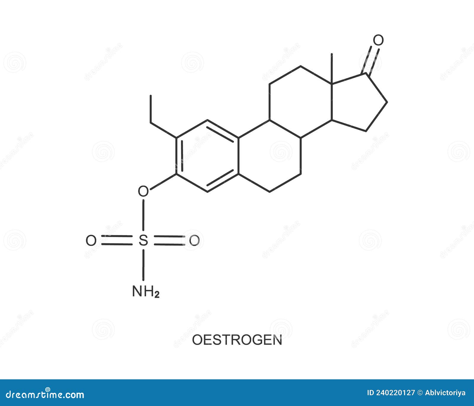 Oestrogen Icon Estrogen Chemical Molecular Structure Stock Vector