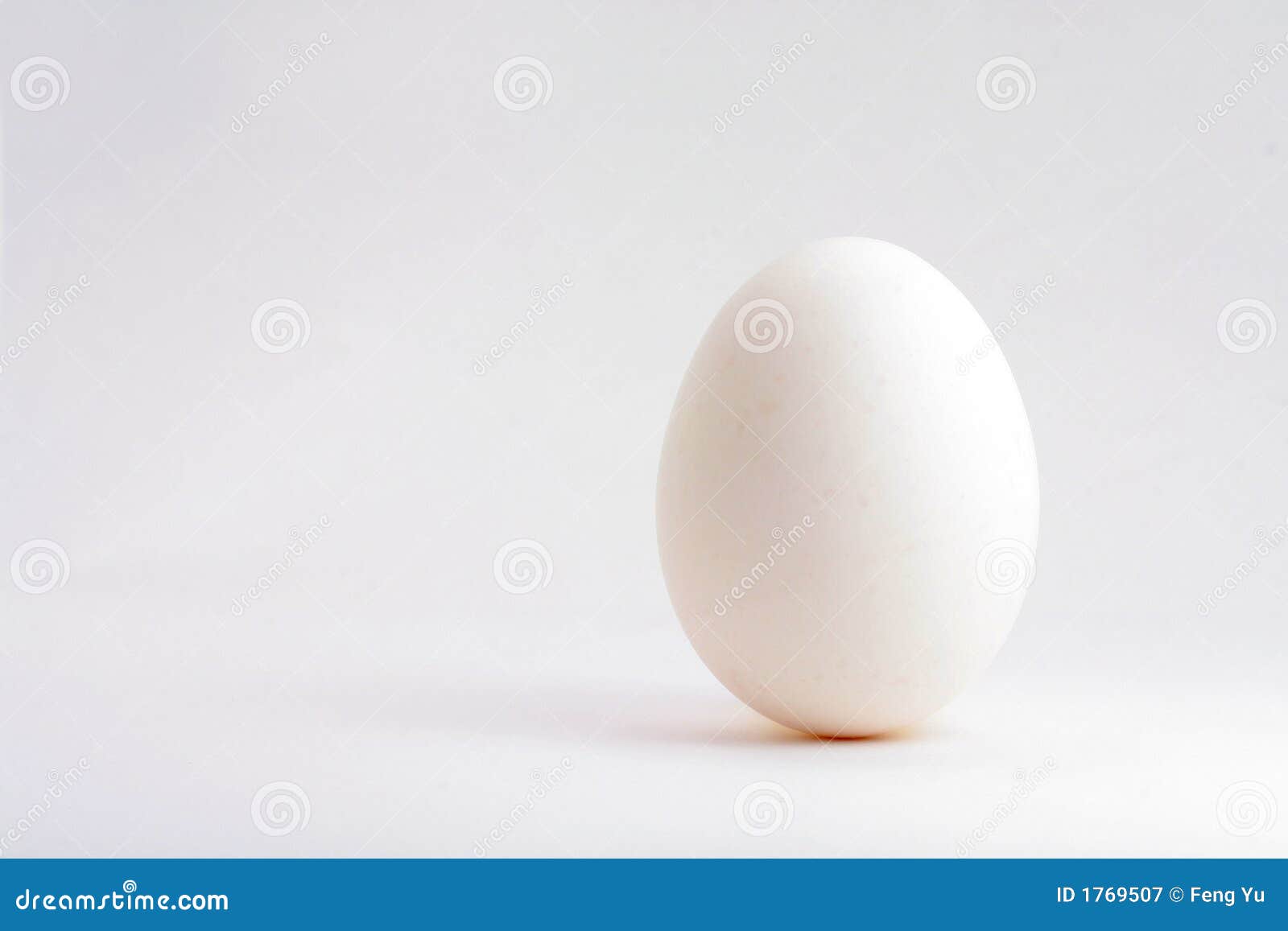 Oeuf blanc image stock. Image du oeuf, nourriture, eggshell - 1769507