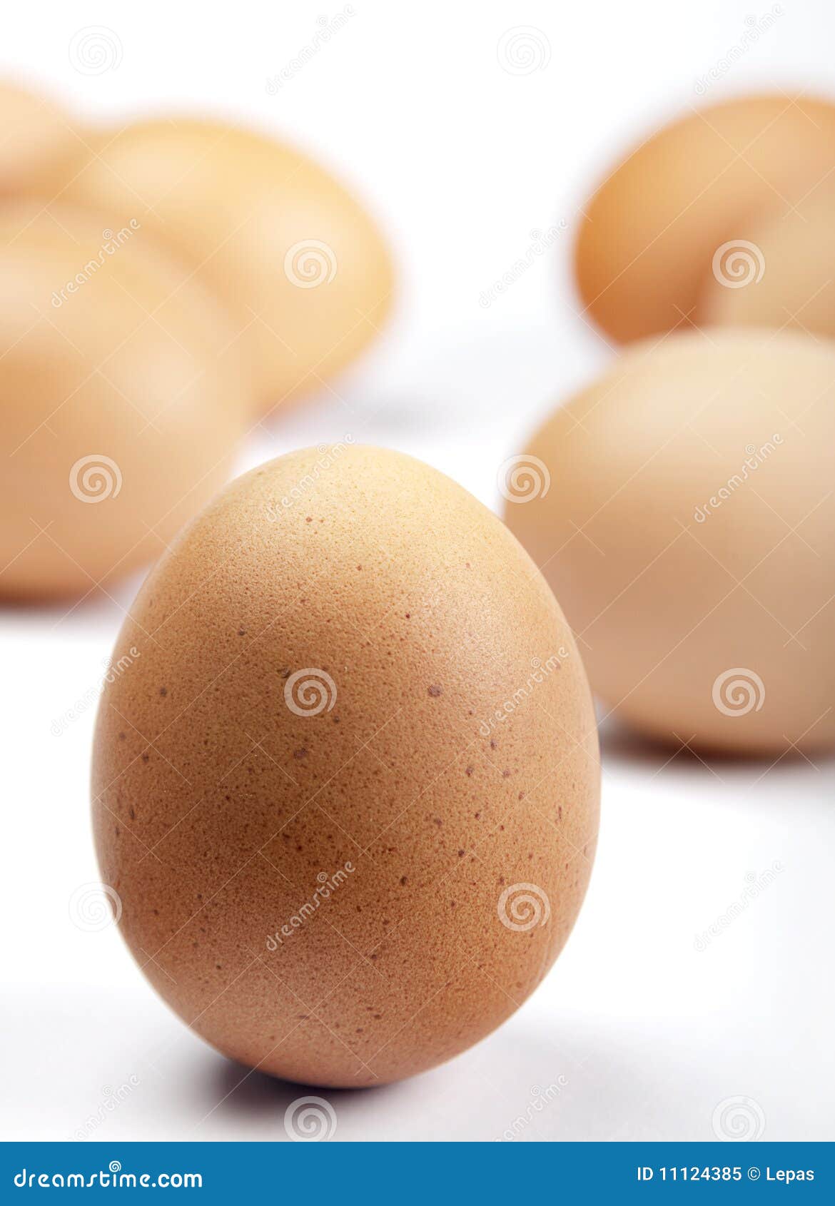 Oeuf de poulet image stock. Image du horizontal, poulet - 11124385