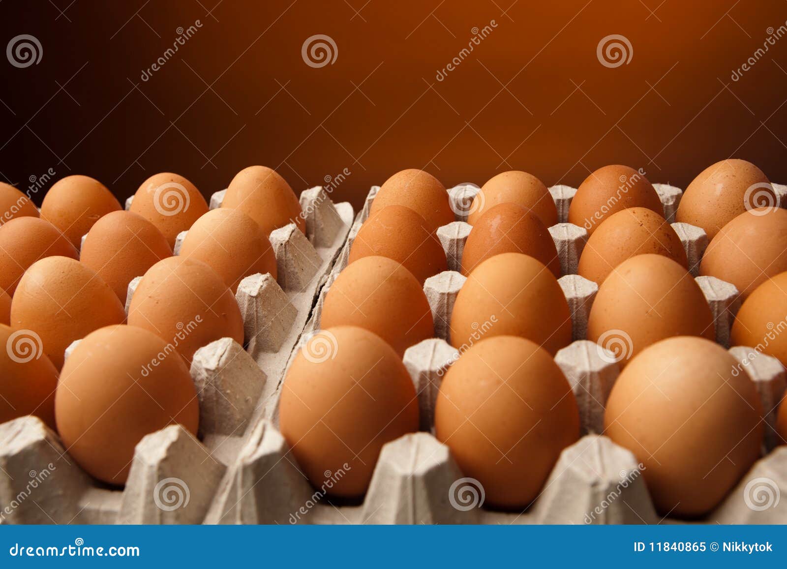 Oeufs de poulet image stock. Image of pâques, fermer - 11840865