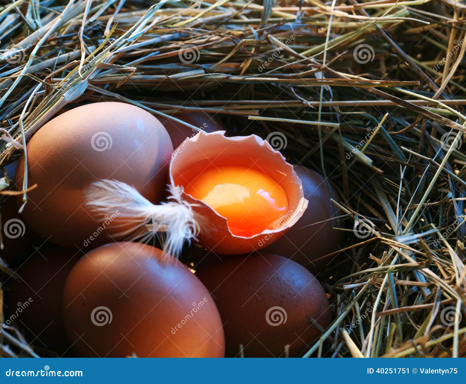 Oeufs De Poulet Dans La Paille Image stock - Image du demi, produit ...