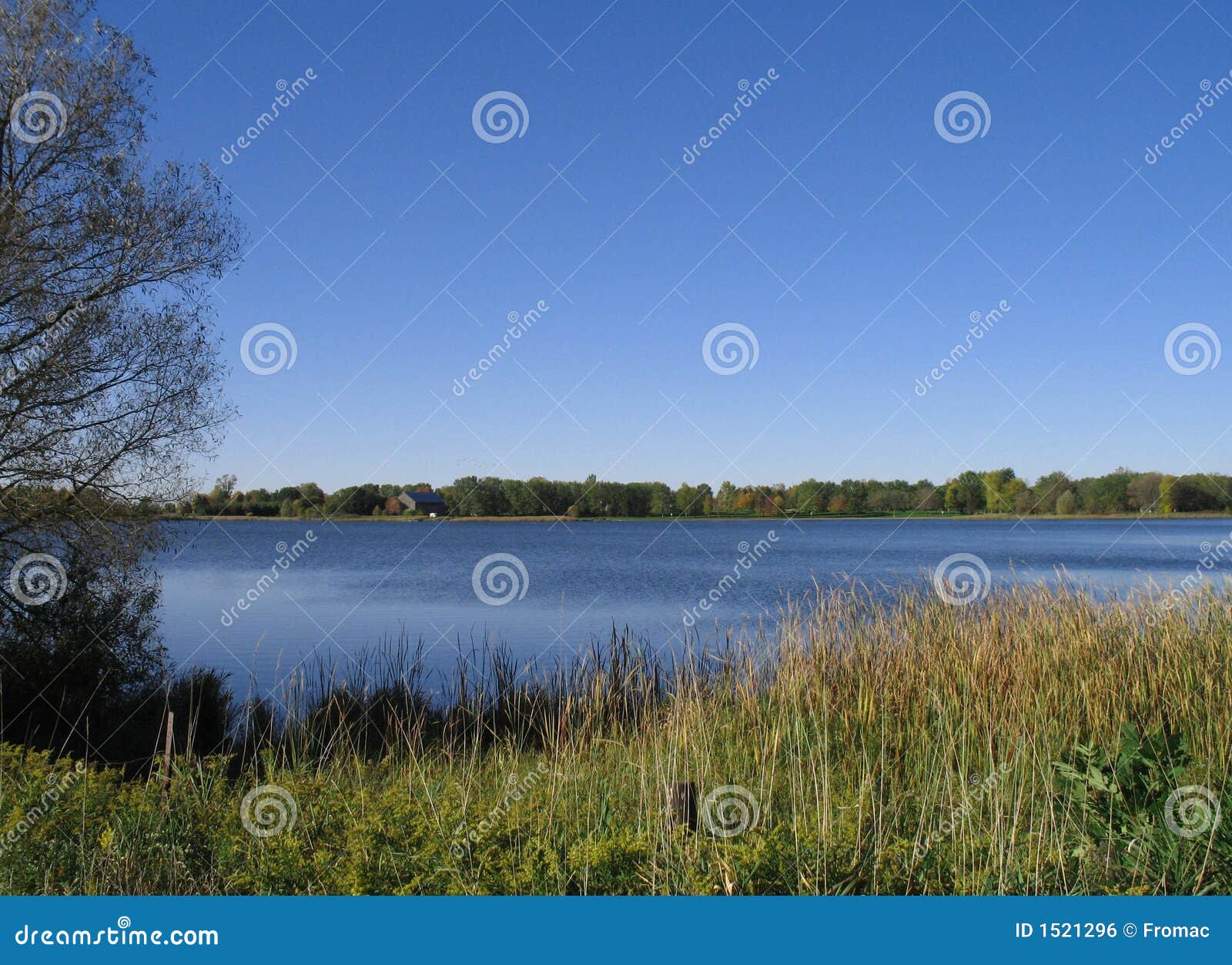 Oever van het meer stock foto. Image of golven, meer, waterweg - 1521296