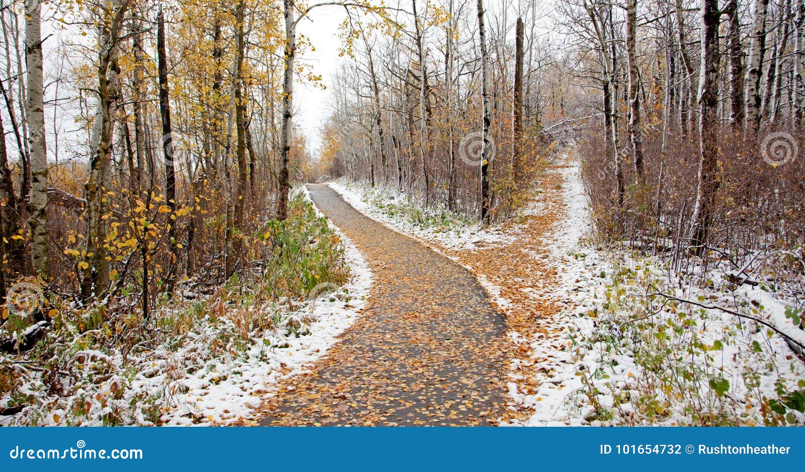 Fork Of A Path In A Two-color Field. Two Roads To The Right And Left To ...