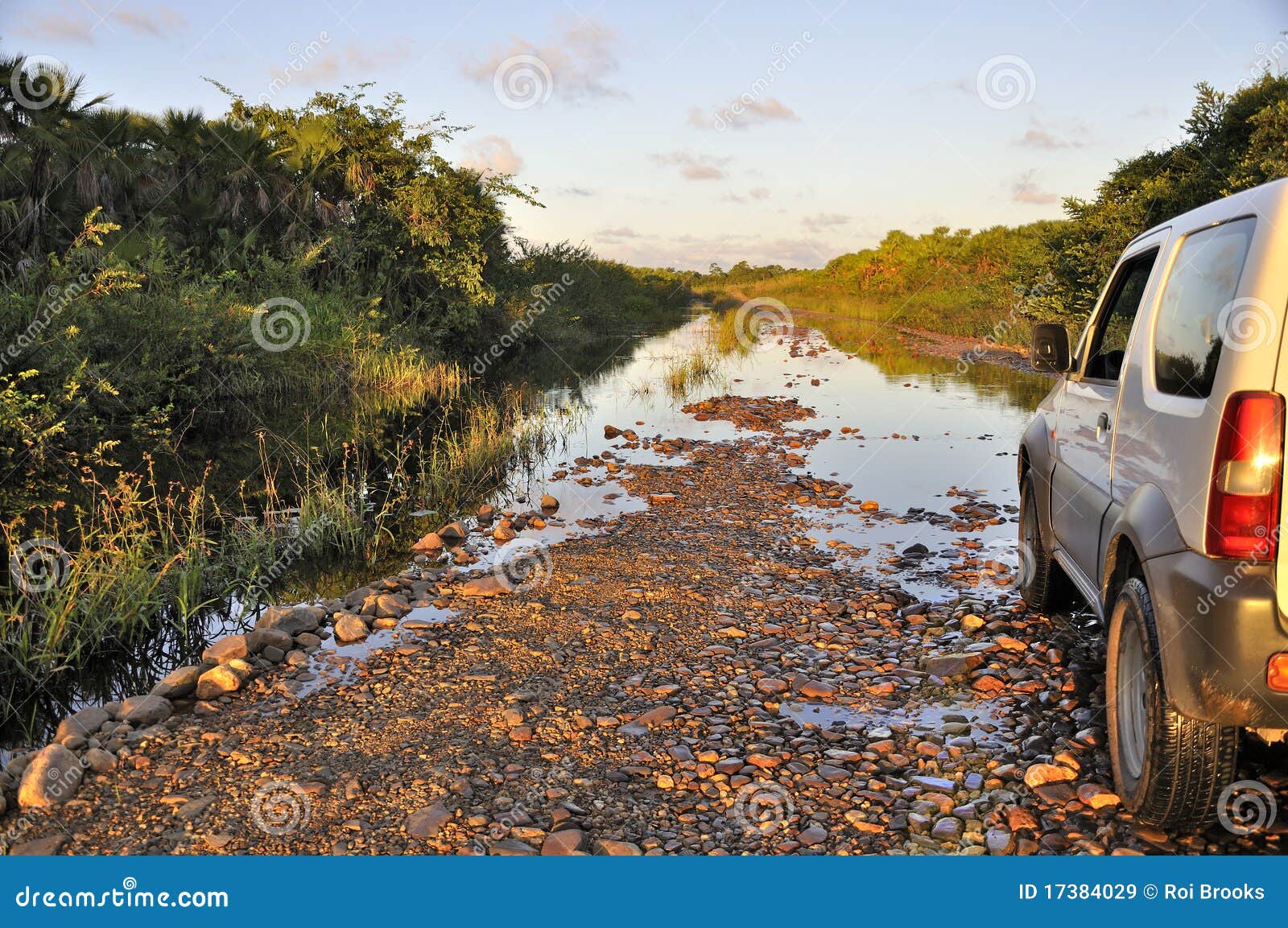 Off the beaten track stock image. Image of hedgerow, wheels - 17384029