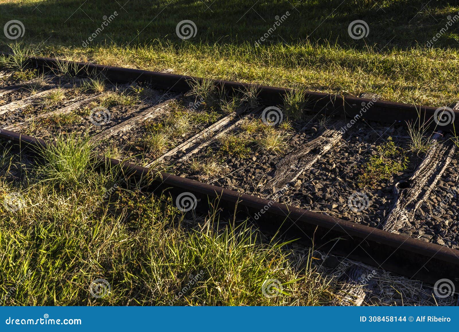Off-rails from the Railway Network Stock Photo - Image of journey ...