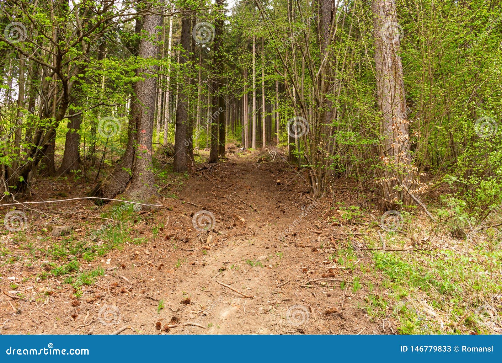 Off Road in the Forest. Mountain Landscape Stock Image - Image of ...