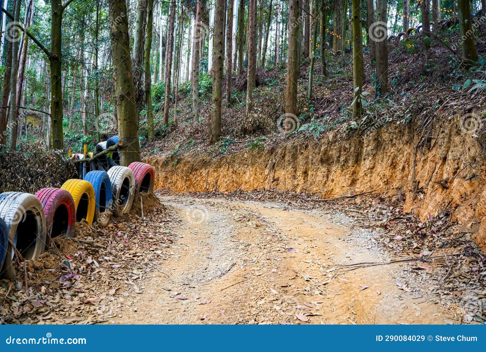 Off-road Karting Track, Mountain and Dirt Road Forest Track Stock Image ...