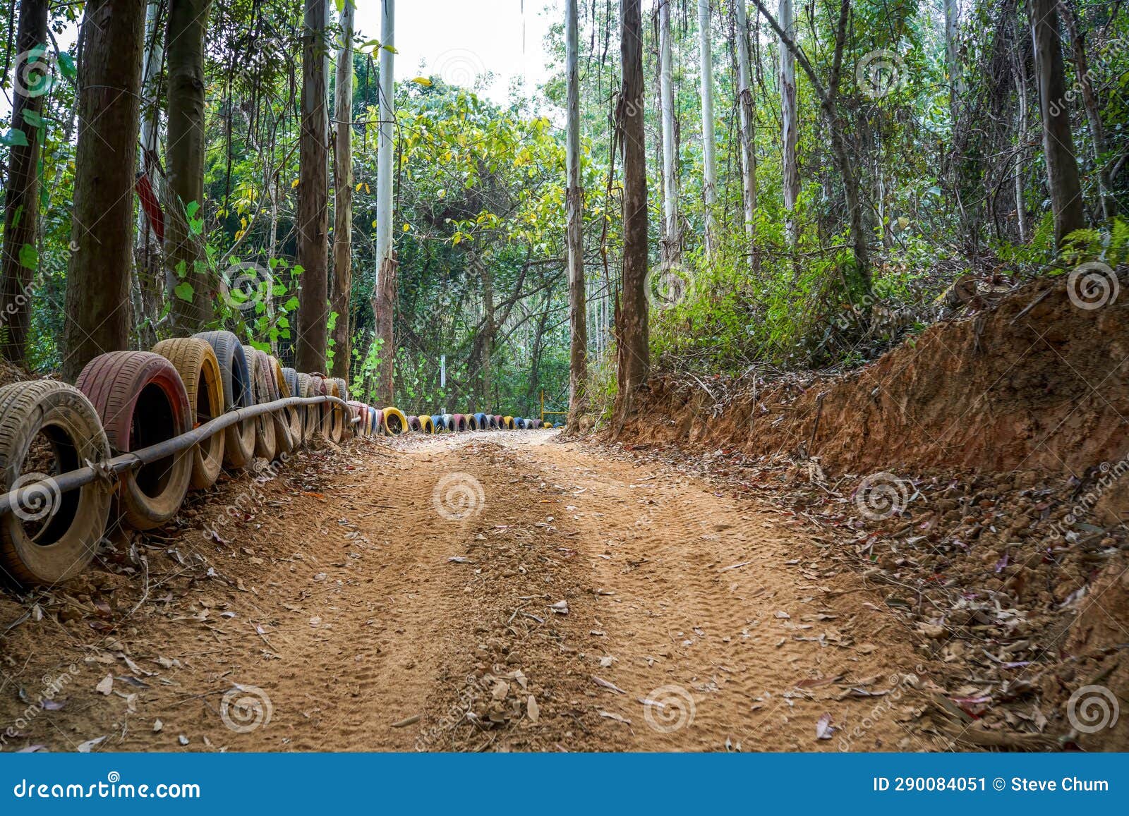 Off-road Karting Track, Mountain and Dirt Road Forest Track Stock Image ...
