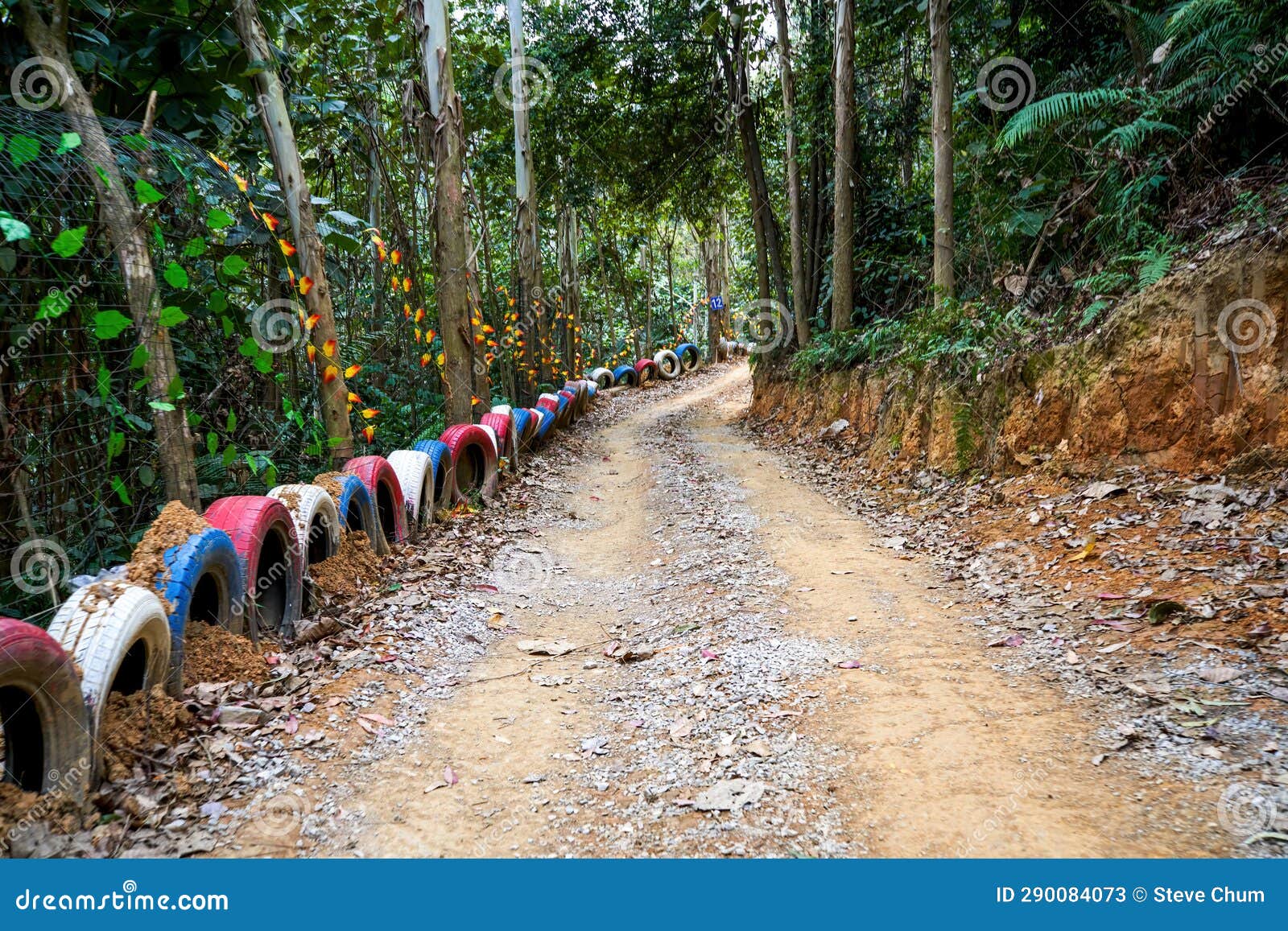 Off-road Karting Track, Mountain and Dirt Road Forest Track Stock Image ...