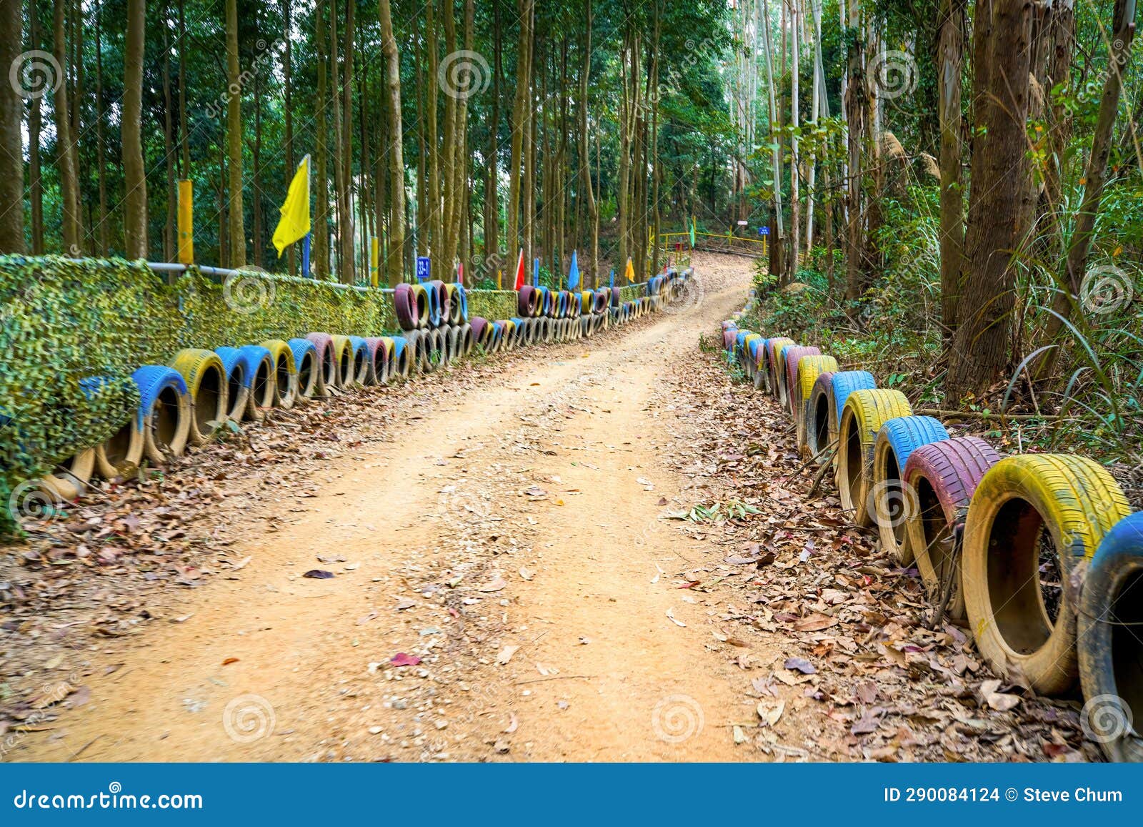 Off-road Karting Track, Mountain and Dirt Road Forest Track Stock Photo ...