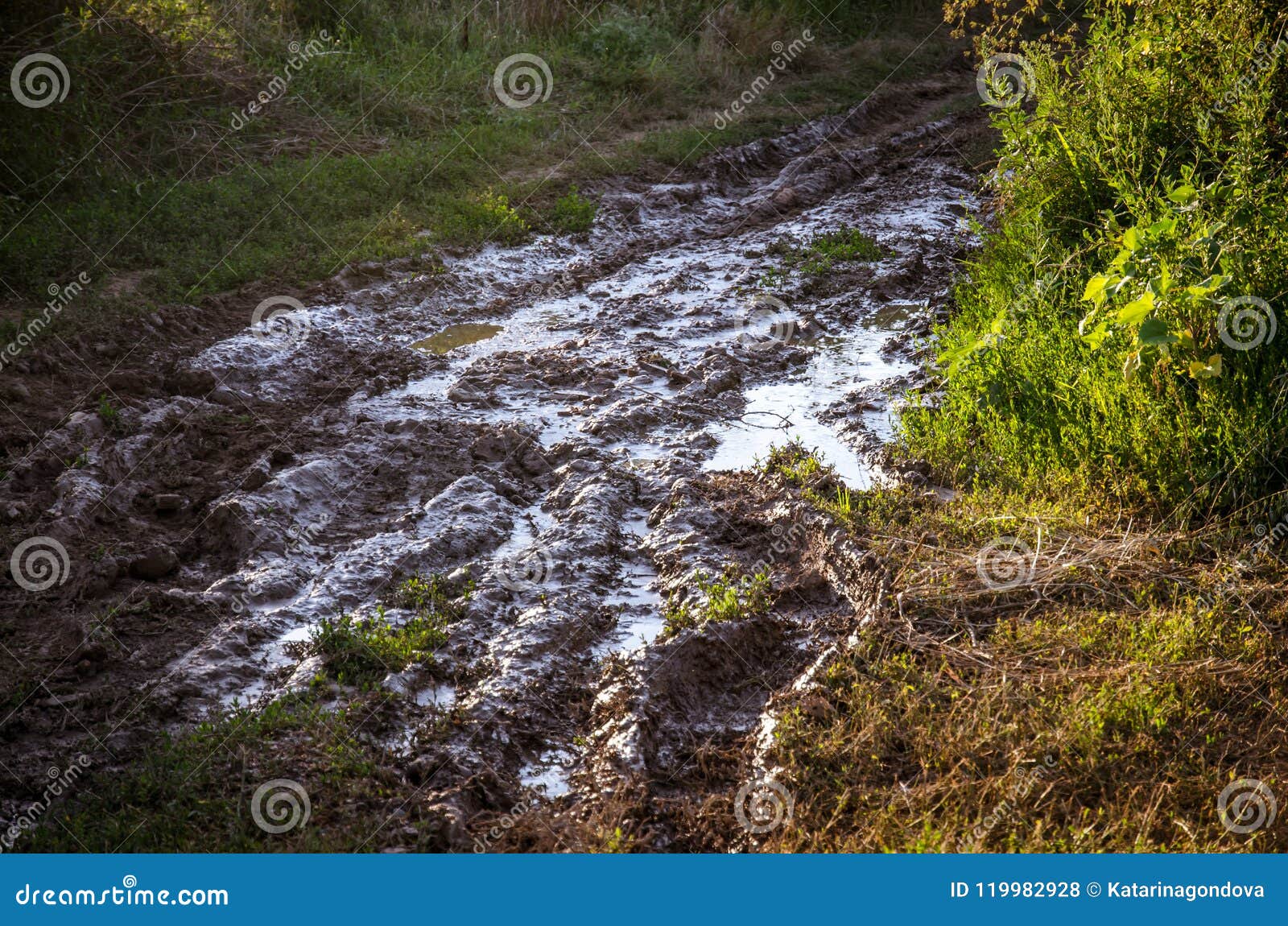 Off Road Terrain Background Stock Photo - Image of vehicle, path: 119982928