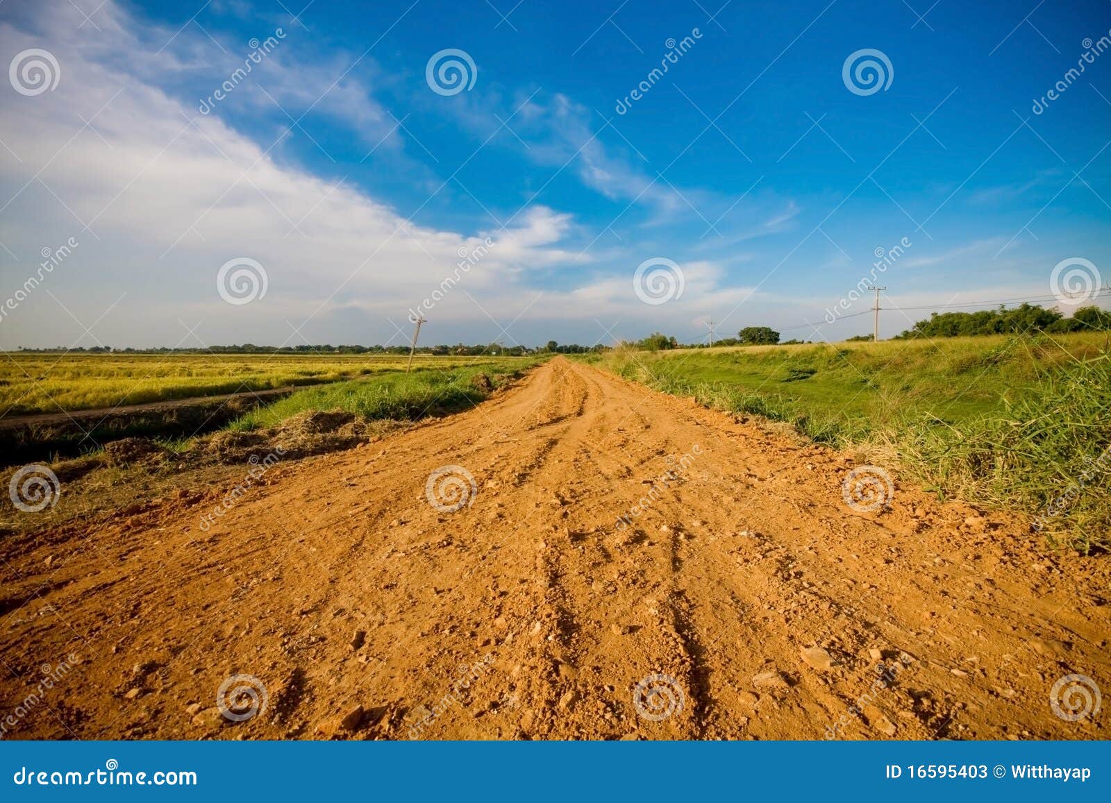 Off-road Track Royalty-Free Stock Photo | CartoonDealer.com #16595403