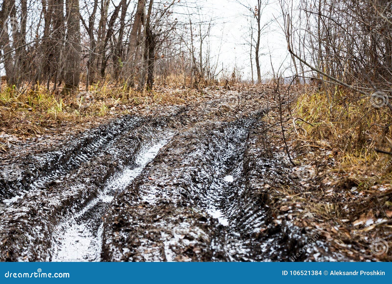 Off-road Track in Autumn Forest Stock Photo - Image of drive, offroad ...