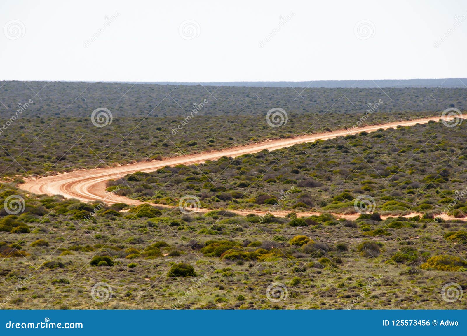 Off Road Track stock photo. Image of outback, territory - 125573456