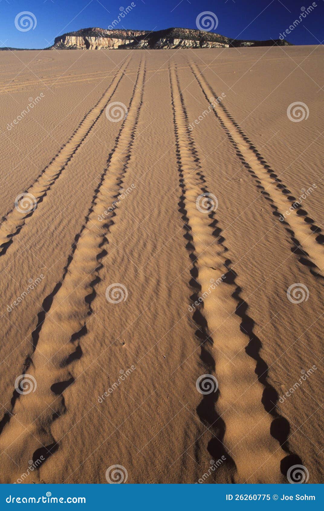 Off Road Vehicle Tracks in Sand Stock Image - Image of states, north ...
