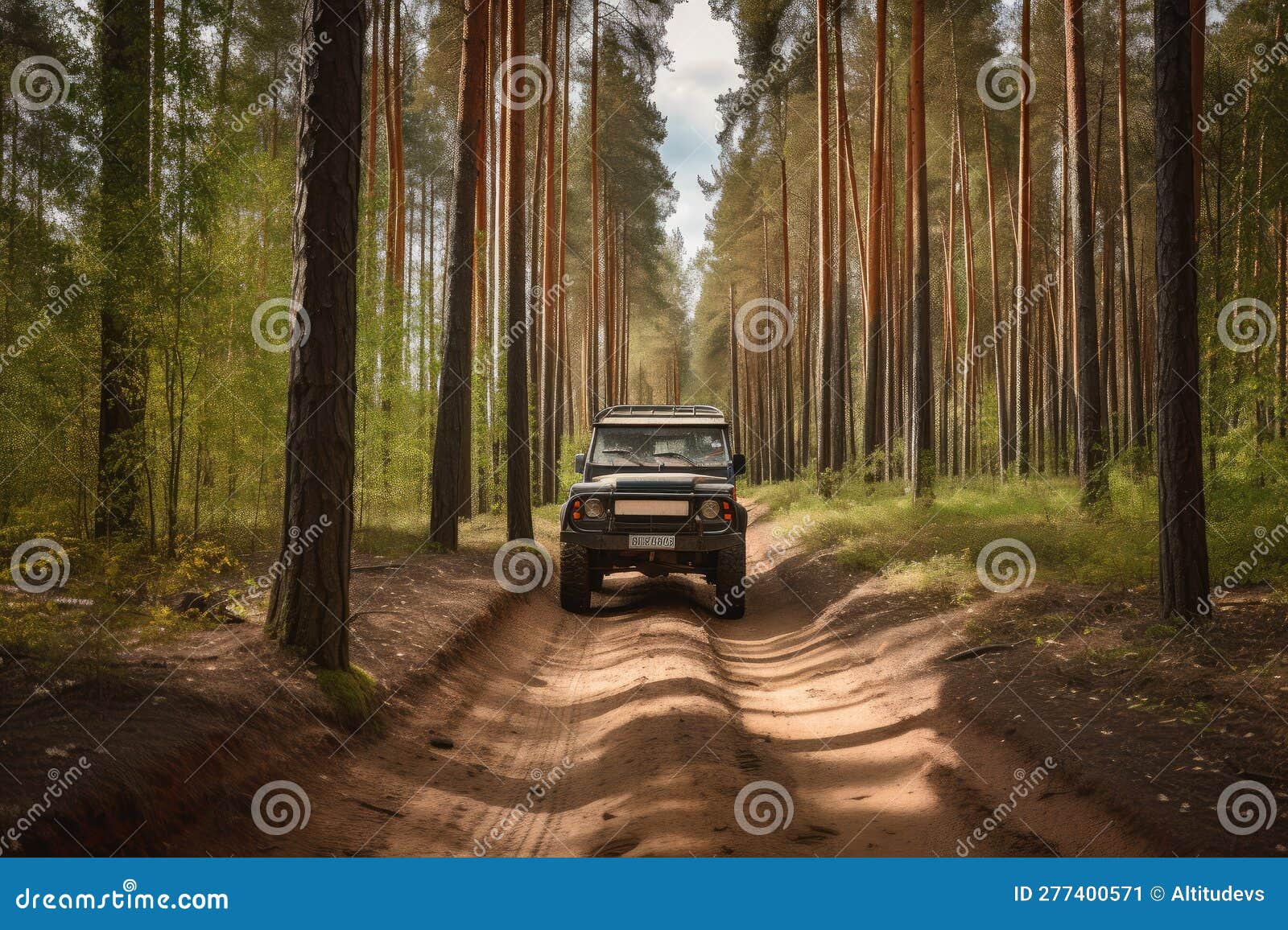 Off-roader Driving through Forest with Trees on the Horizon Stock Image ...