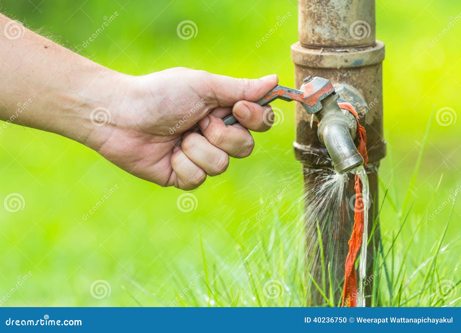 Off water stock photo. Image of drop, holding, conserve - 40236750