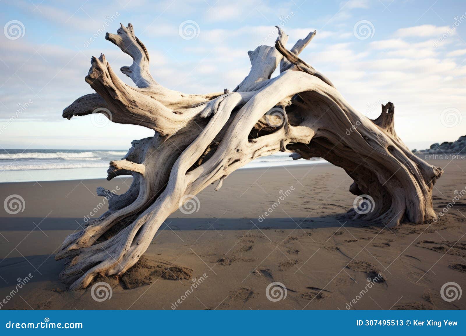 An Offbeat Perspective of a Twisted Driftwood Log on a Sandy Beach Stock Illustration ...