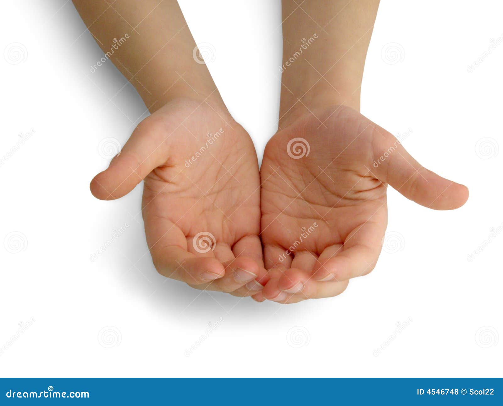 Offering stock photo. Image of gift, isolated, offering - 4546748