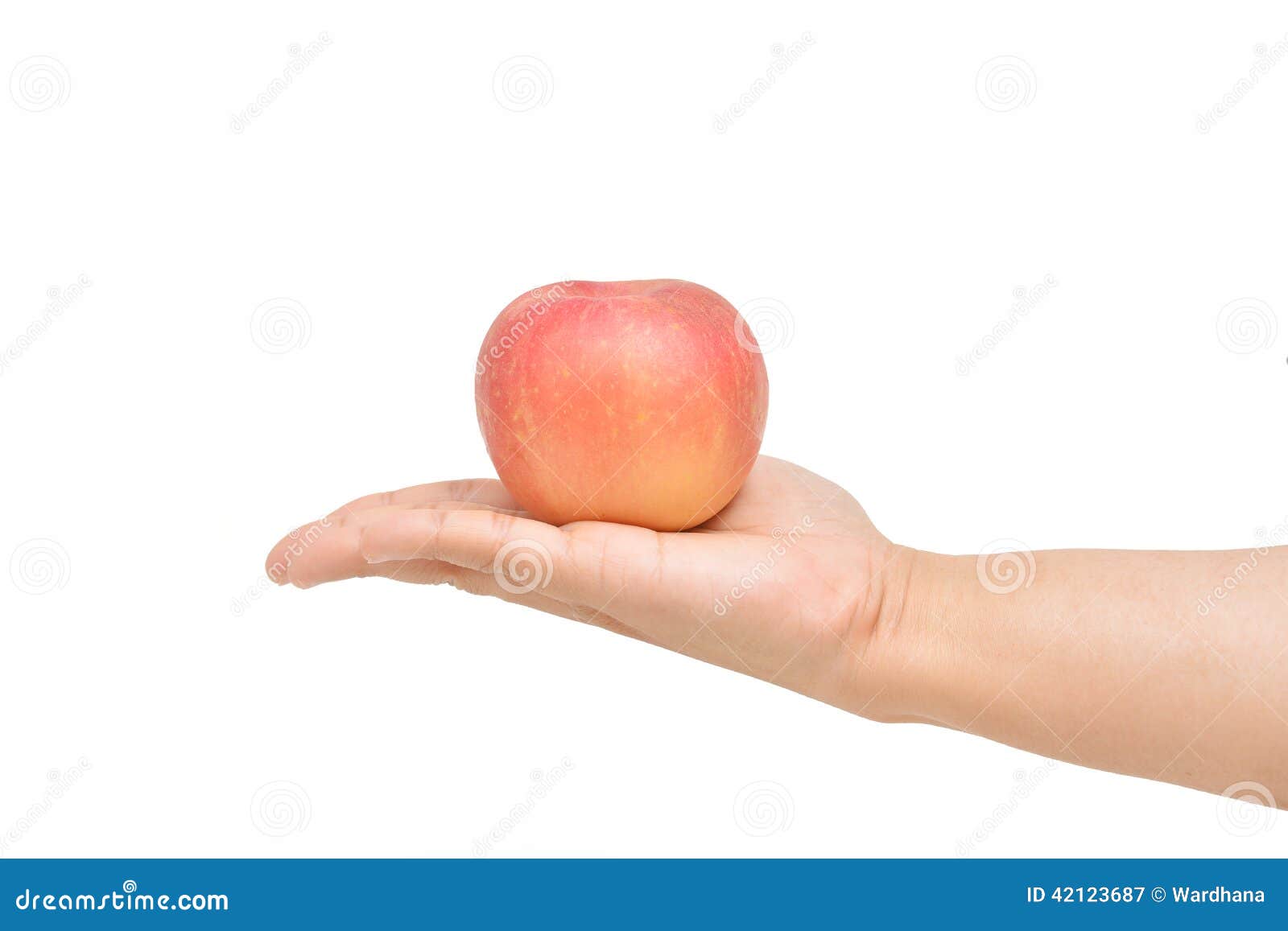 Offering one apple stock image. Image of juicy, green - 42123687