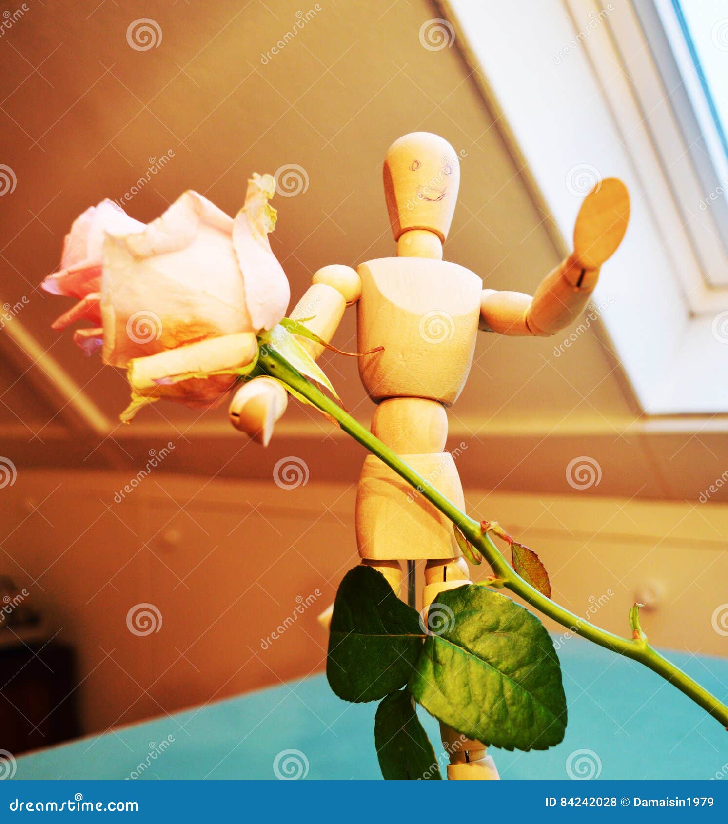 Offering a rose, symbolic stock photo. Image of symbols - 84242028