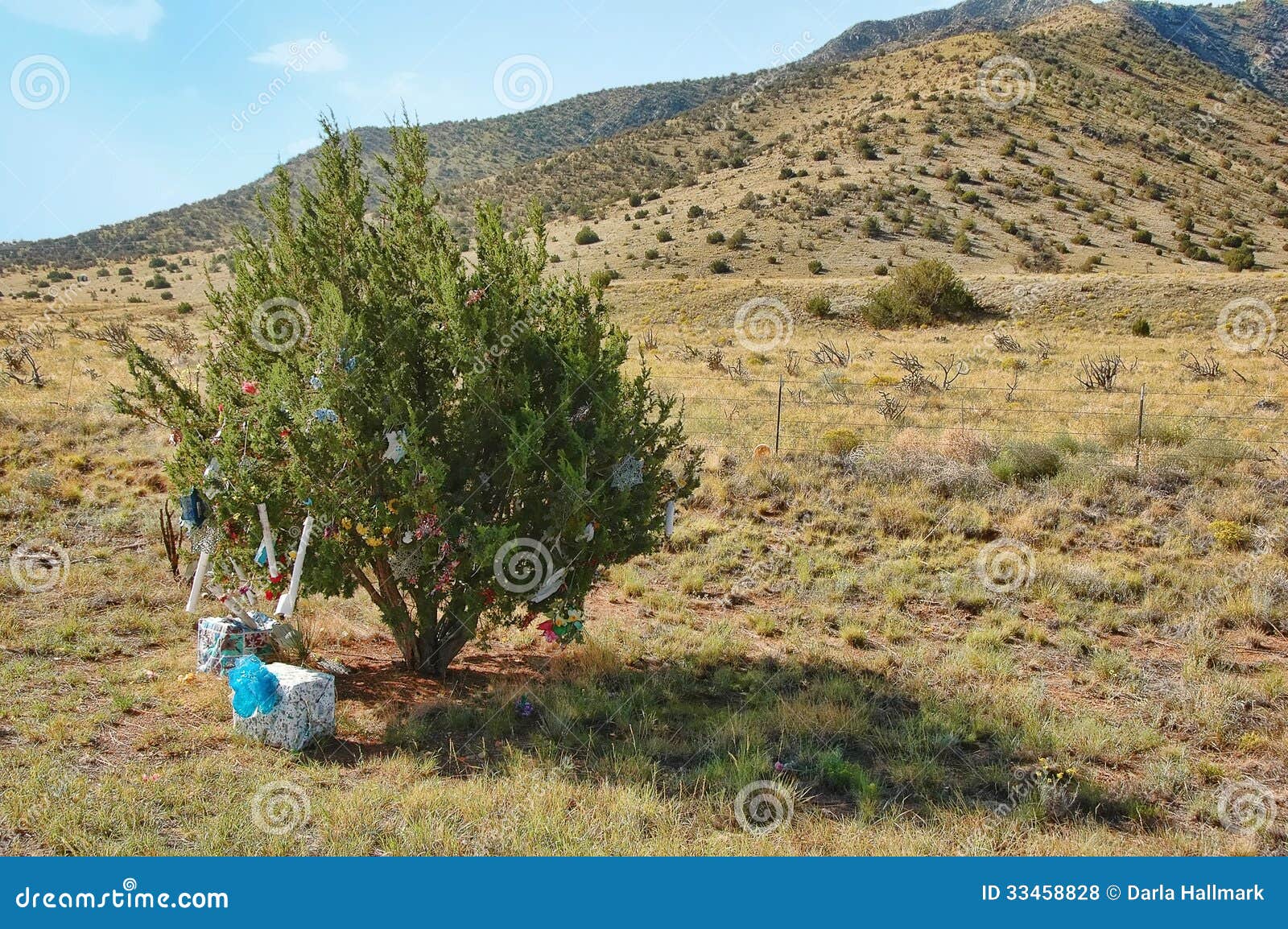 Offering Tree stock photo. Image of offerings, southwest - 33458828
