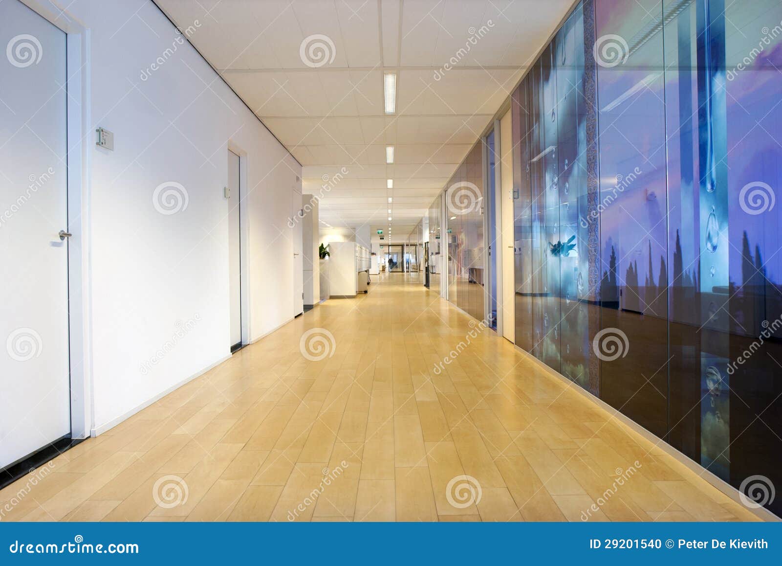 Office aisle stock photo. Image of office, floor, place - 29201540