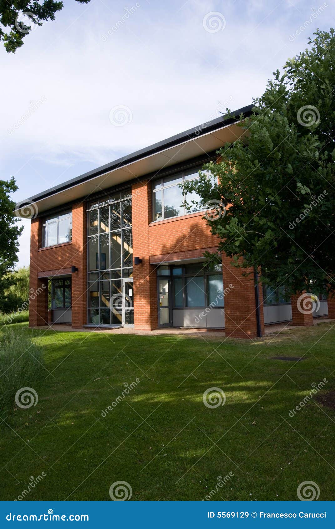 Office Building Facade. Vertical. Stock Image - Image of light, green ...