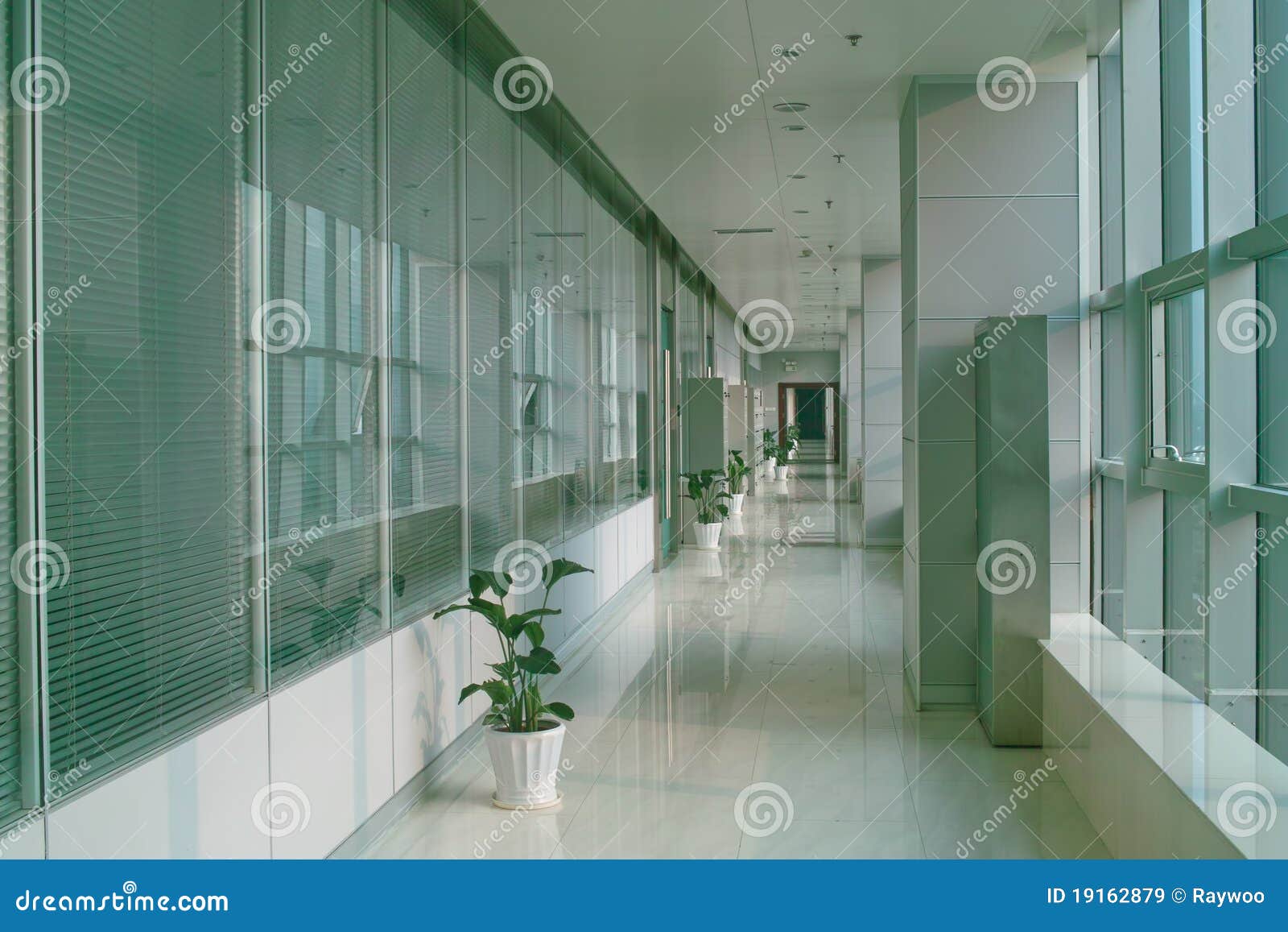 Office building hallway stock image. Image of windows - 19162879