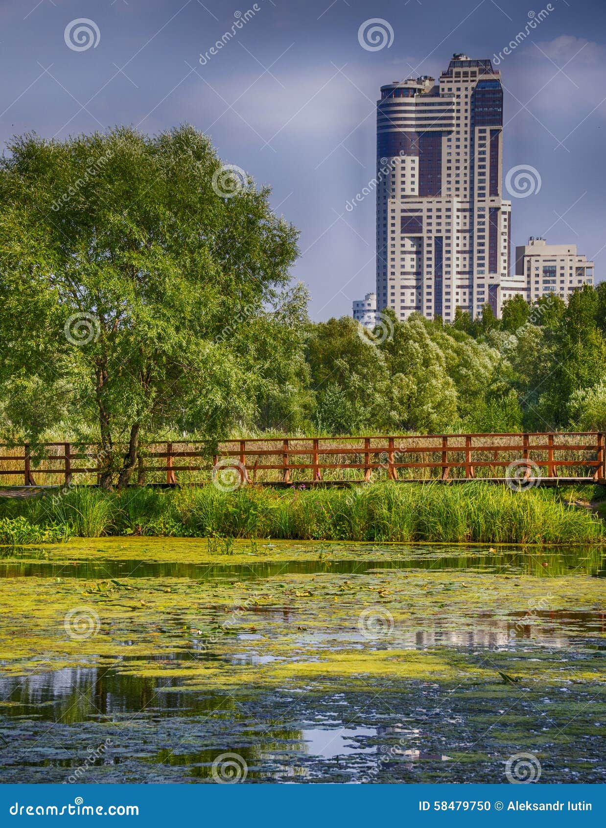 Office building stock photo. Image of nature, tree, river - 58479750