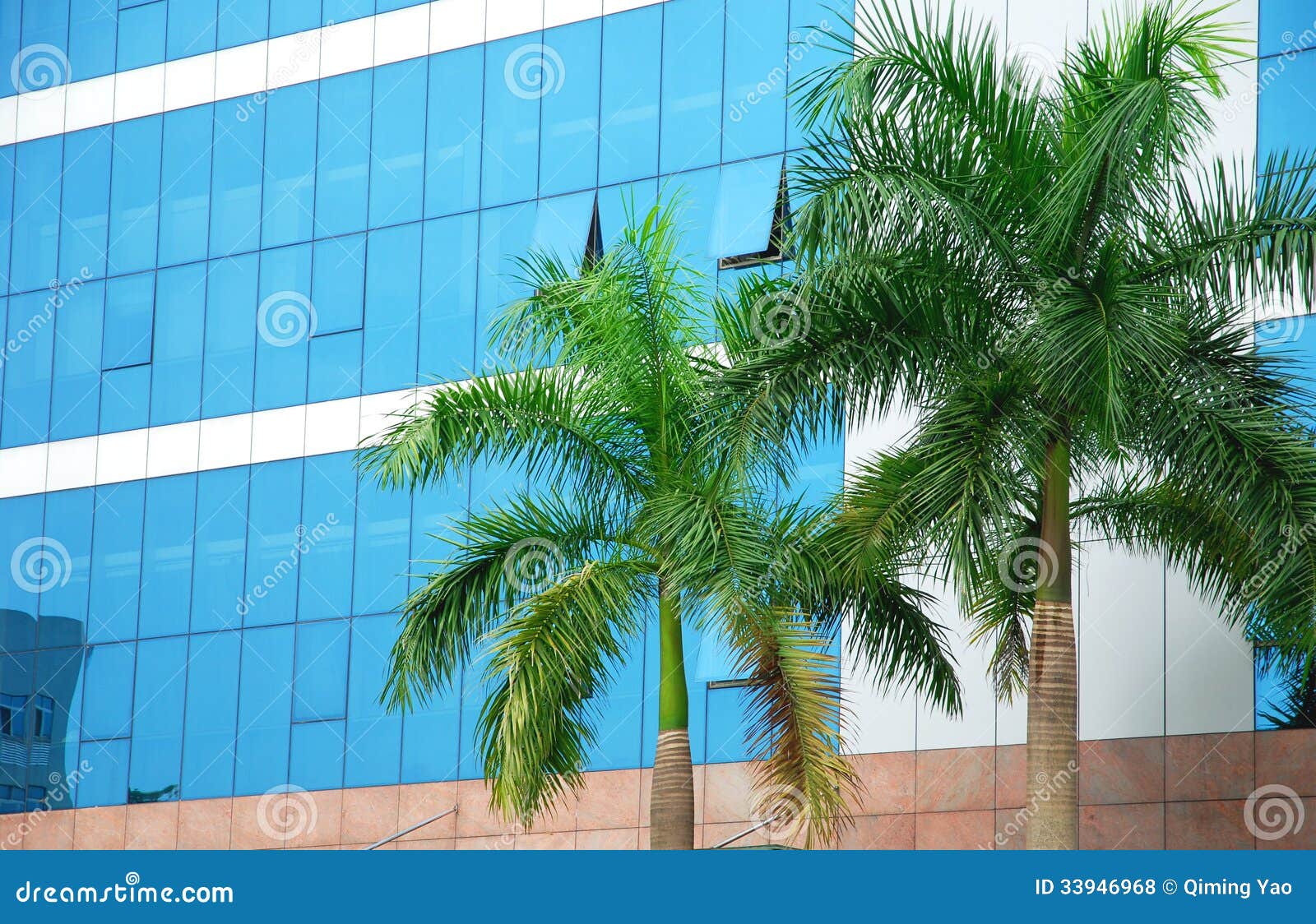 Office building and palm stock photo. Image of plant - 33946968