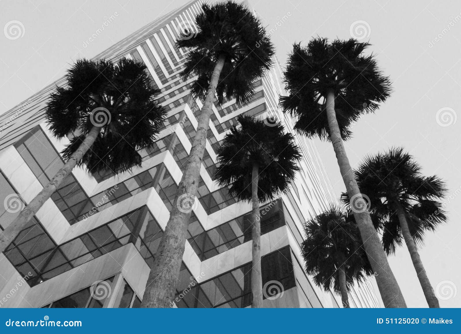 Tampa Office Building With Palm Trees Royalty-Free Stock Image ...